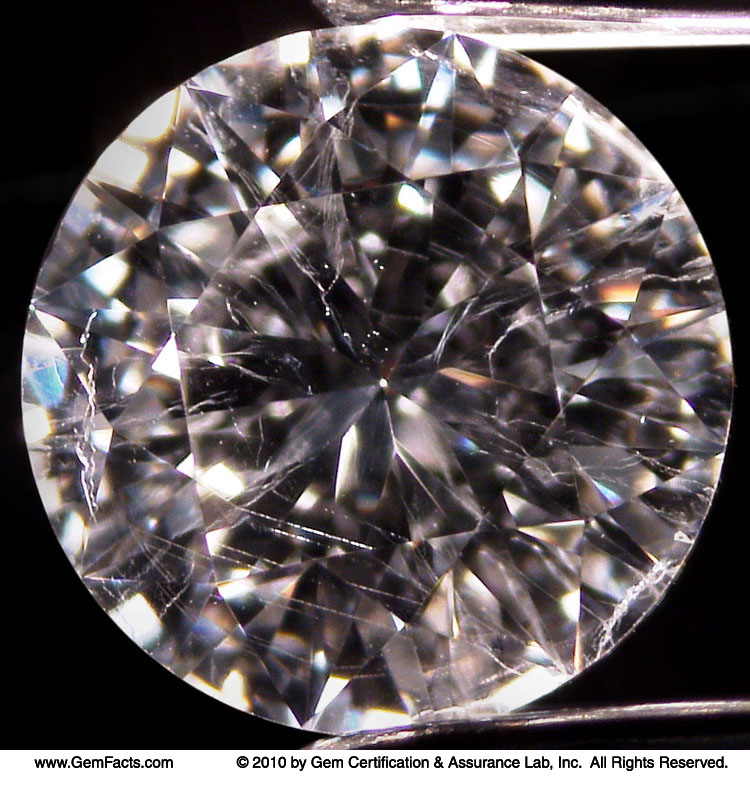 Palmieri's Market Monitor